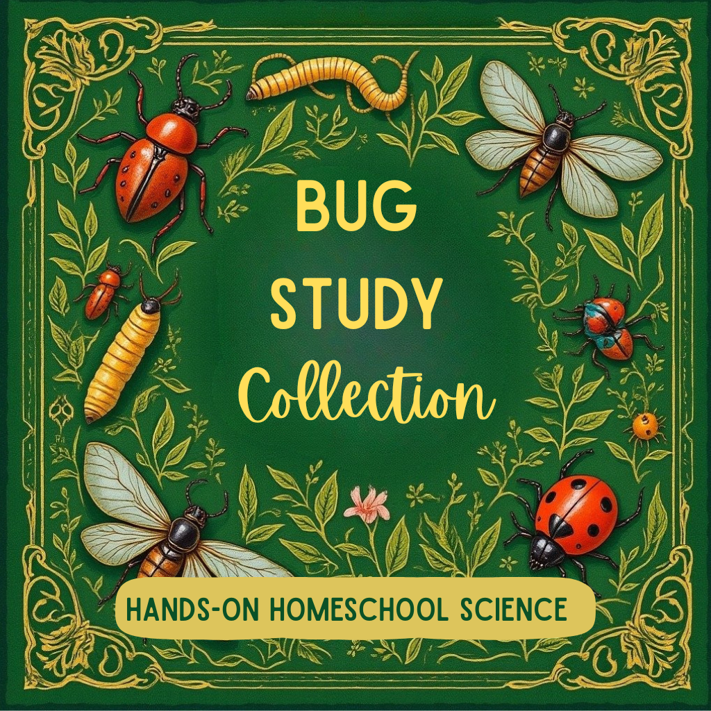 BUGS – The Curious Homeschool